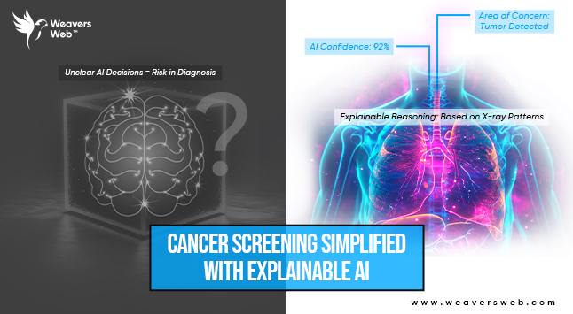 Cancer Screening Simplified With Explainable AI